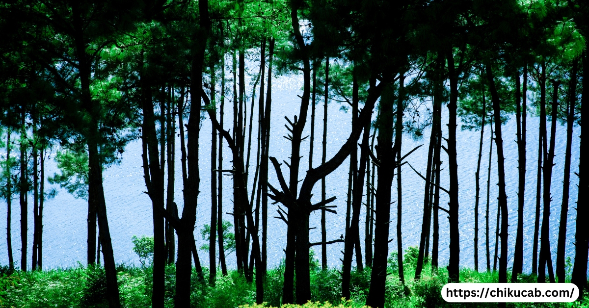 Top Adventurous Activities to Try in Shillong