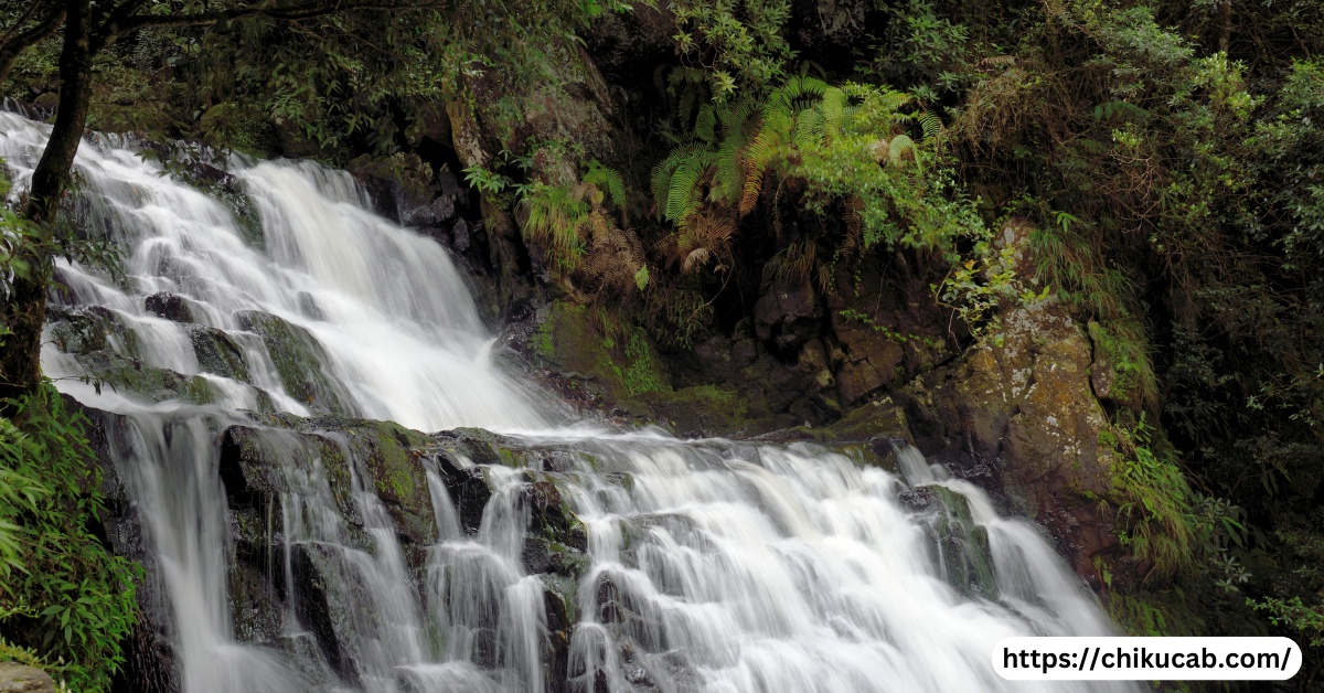 Top Adventurous Activities to Try in Shillong